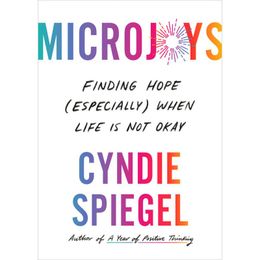 Microjoys - Cyndie Spiegel, Gebunden
