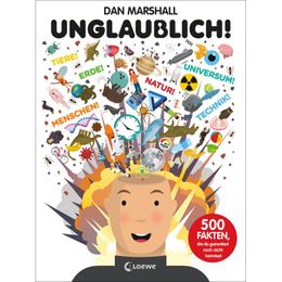 Loewe Verlag Unglaublich! - Dan Marshall, Gebunden