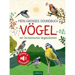 Ars Edition Mein großes Soundbuch Vögel - Eva Wagner, Pappband