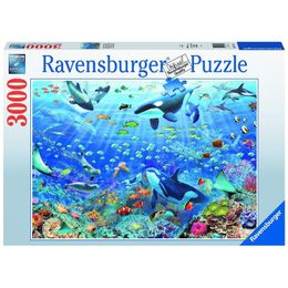 RAVENSBURGER VERLAG Ravensburger Puzzle 17444 Bunter Unterwasserspaß - 3000 Teile Puzzle für Erwachsene und Kinder ab 14 Jahren