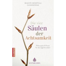 Die vier Säulen der Achtsamkeit - Bhante Henepola Gunaratana, Kartoniert (TB)