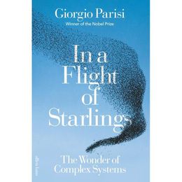 In a Flight of Starlings - Giorgio Parisi, Gebunden