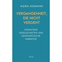 Gespaltene Gesellschaften und gegensätzliche Narrative - Aleida Assmann, Gebunden