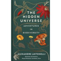 The Hidden Universe - Alexandre Antonelli, Gebunden