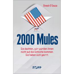 2000 Mules - Dinesh D'Souza, Gebunden