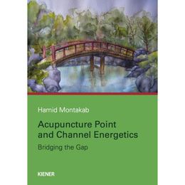 Acupuncture Point and Channel Energetics - Hamid Montakab, Gebunden