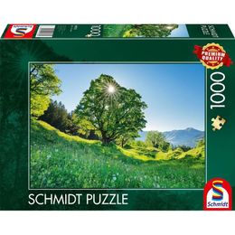 Schmidt Spiele Schmidt Puzzle 1000 - Berg-Ahorn im Sonnenlicht, St. Gallen, Schweiz