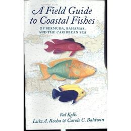 A Field Guide to Coastal Fishes of Bermuda, Bahamas, and the Caribbean Sea - Valerie A. Kells, Luiz A. Rocha, Carole C. Baldwin, Kartoniert (TB)