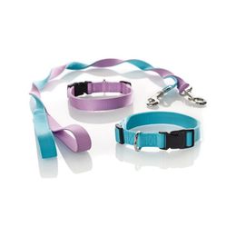 Hunter Tierbedarf Hunde-Halsband Halsband Ecco Sport Vario Basic türkis