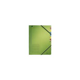 Leitz Organisationsmappe Ordnungsmappe DIN A4 350g/m² Pendareckarton recycelt Farbe: grün Farbe des Fächerblocks: mehrfarbig 7 Fächer