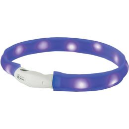 Nobby Hundehalsbandleuchte Nobby LED Leuchthalsband Visible breit blau