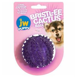 JW Pet Tierball JW Bristl-ee Kaktus-Ball