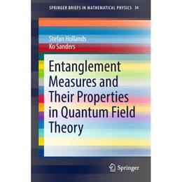 Springer International Publishing Entanglement Measures and Their Properties in Quantum Field Theory - Stefan Hollands, Ko Sanders, Kartoniert (TB)