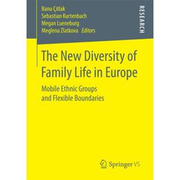 The New Diversity of Family Life in Europe, Kartoniert (TB)