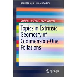 Springer Topics in Extrinsic Geometry of Codimension-One Foliations - Vladimir Rovenski, Pawel Walczak, Kartoniert (TB)