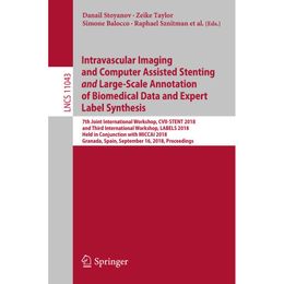 Springer International Publishing Intravascular Imaging and Computer Assisted Stenting and Large-Scale Annotation of Biomedical Data and Expert Label Synthesis, Kartoniert (TB)