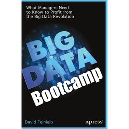 Big Data Bootcamp - David Feinleib, Kartoniert (TB)