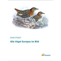 Alle Vögel Europas im Bild - Anton Fritsch, Kartoniert (TB)