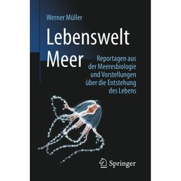 Springer Berlin Heidelberg Lebenswelt Meer - Werner Müller, Kartoniert (TB)