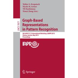 Springer Berlin Heidelberg Graph-Based Representations in Pattern Recognition, Kartoniert (TB)