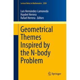 Geometrical Themes Inspired by the N-body Problem, Kartoniert (TB)