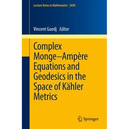 Springer Complex Monge-Ampère Equations and Geodesics in the Space of Kähler Metrics, Kartoniert (TB)