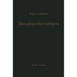 Springer Berlin Heidelberg Dampfspeicheranlagen - Walter Goldstern, Kartoniert (TB)