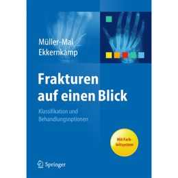 Springer Frakturen auf einen Blick - Christian Müller-Mai, Kartoniert (TB)