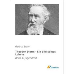 Theodor Storm - Ein Bild seines Lebens - Gertrud Storm, Kartoniert (TB)