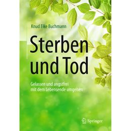 Springer Berlin Heidelberg Sterben und Tod - Knud E. Buchmann, Kartoniert (TB)