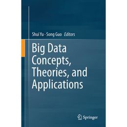Springer Big Data Concepts, Theories, and Applications, Gebunden