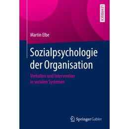 Springer Berlin Heidelberg Sozialpsychologie der Organisation - Martin Elbe, Kartoniert (TB)