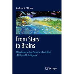 Springer International Publishing From Stars to Brains: Milestones in the Planetary Evolution of Life and Intelligence - Andrew Y. Glikson, Gebunden