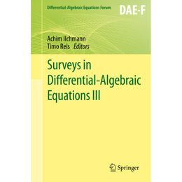 Springer Differential-Algebraic Equations Forum / Surveys in Differential-Algebraic Equations III, Kartoniert (TB)