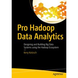 Pro Hadoop Data Analytics - Kerry Koitzsch, Kartoniert (TB)