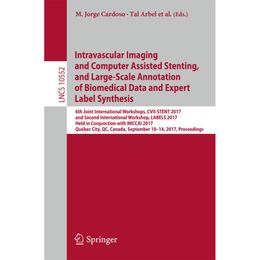 Springer International Publishing Intravascular Imaging and Computer Assisted Stenting, and Large-Scale Annotation of Biomedical Data and Expert Label Synthesis, Kartoniert (TB)