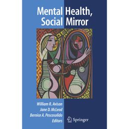 Springer Mental Health, Social Mirror, Kartoniert (TB)