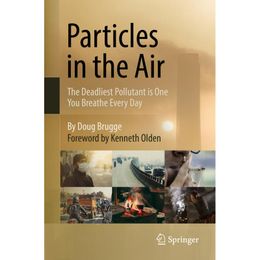 Springer International Publishing Particles in the Air - Doug Brugge, Kartoniert (TB)