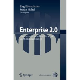 Springer Berlin Heidelberg Enterprise 2.0, Kartoniert (TB)
