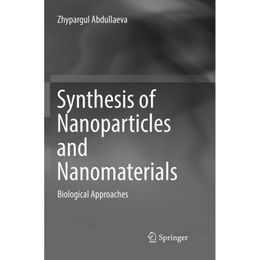 Springer Synthesis of Nanoparticles and Nanomaterials - Zhypargul Abdullaeva, Kartoniert (TB)