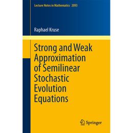 Springer International Publishing Strong and Weak Approximation of Semilinear Stochastic Evolution Equations - Raphael Kruse, Kartoniert (TB)