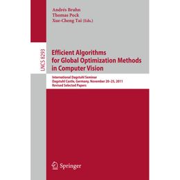 Efficient Algorithms for Global Optimization Methods in Computer Vision, Kartoniert (TB)