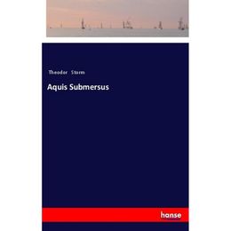 Hansebooks Aquis Submersus - Theodor Storm, Kartoniert (TB)