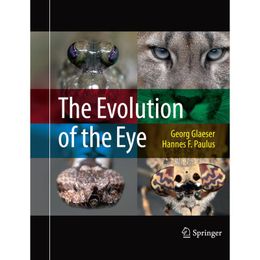 Springer International Publishing The Evolution of the Eye - Georg Glaeser, Hannes F. Paulus, Kartoniert (TB)