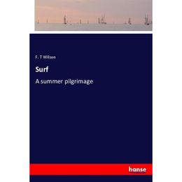 Hansebooks Surf - F. T Wilson, Kartoniert (TB)