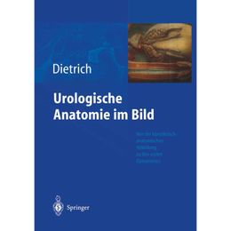 Springer Berlin Heidelberg Urologische Anatomie im Bild - Holger G. Dietrich, Kartoniert (TB)