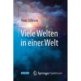 Springer Berlin Heidelberg Viele Welten in einer Welt - Hans Sillescu, Kartoniert (TB)