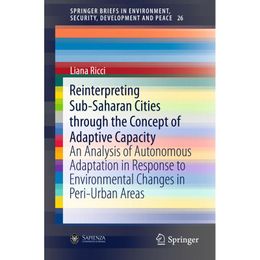 Springer Reinterpreting Sub-Saharan Cities through the Concept of Adaptive Capacity - Liana Ricci, Kartoniert (TB)