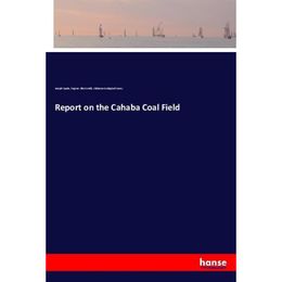 Hansebooks Report on the Cahaba Coal Field - Joseph Squire, Eugene Allen Smith, Alabama Geological Survey, Kartoniert (TB)