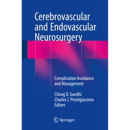 Springer International Publishing Cerebrovascular and Endovascular Neurosurgery, Gebunden